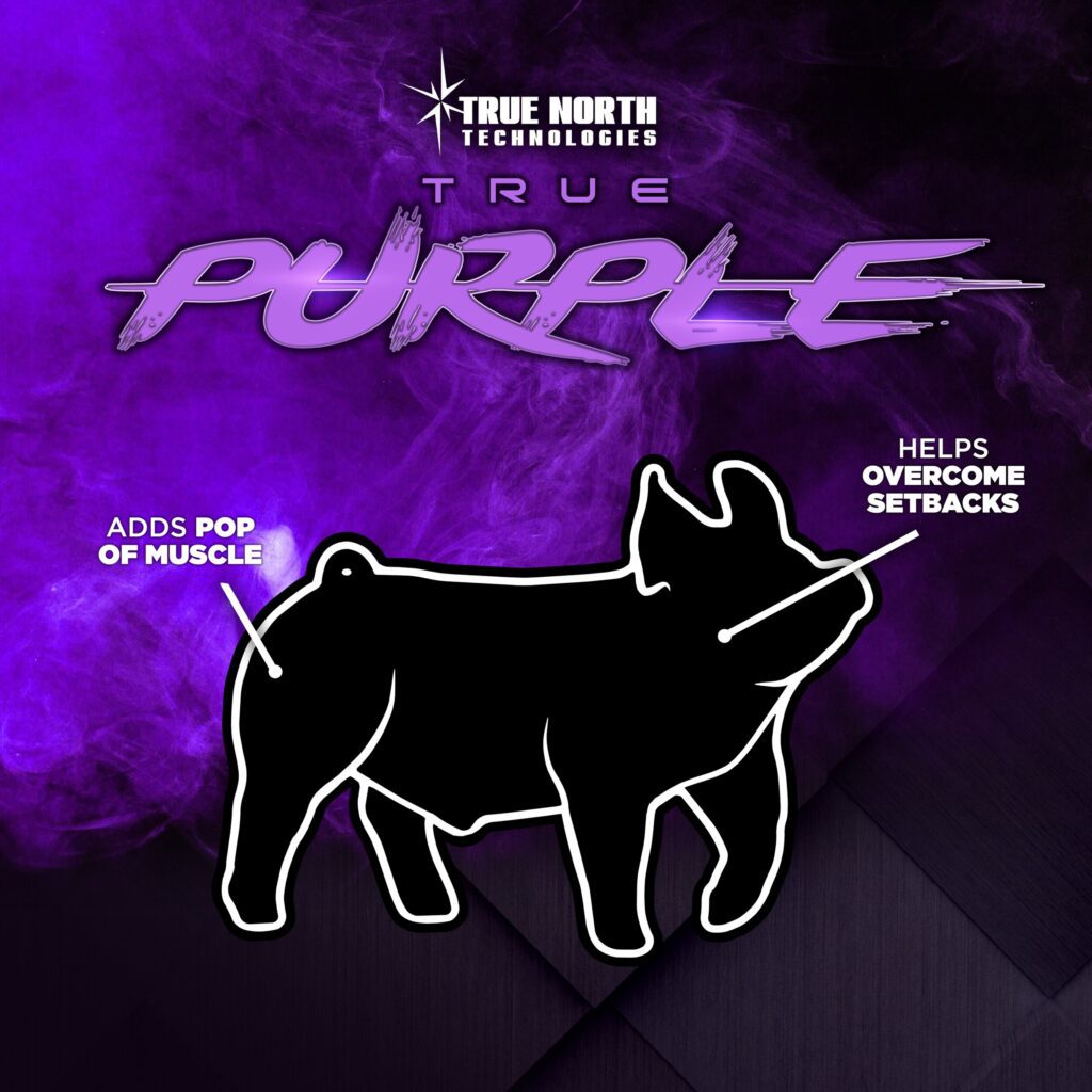 TruePurple A ready to use acidified electrolyte